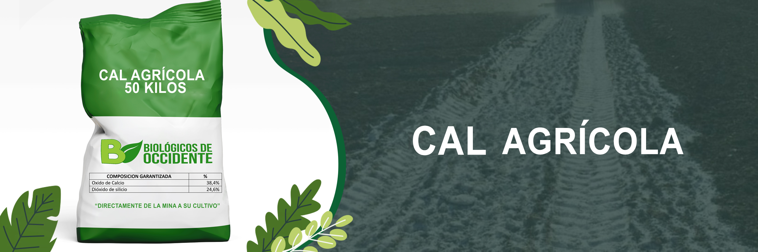 Cal Agrícola | Poliempaques